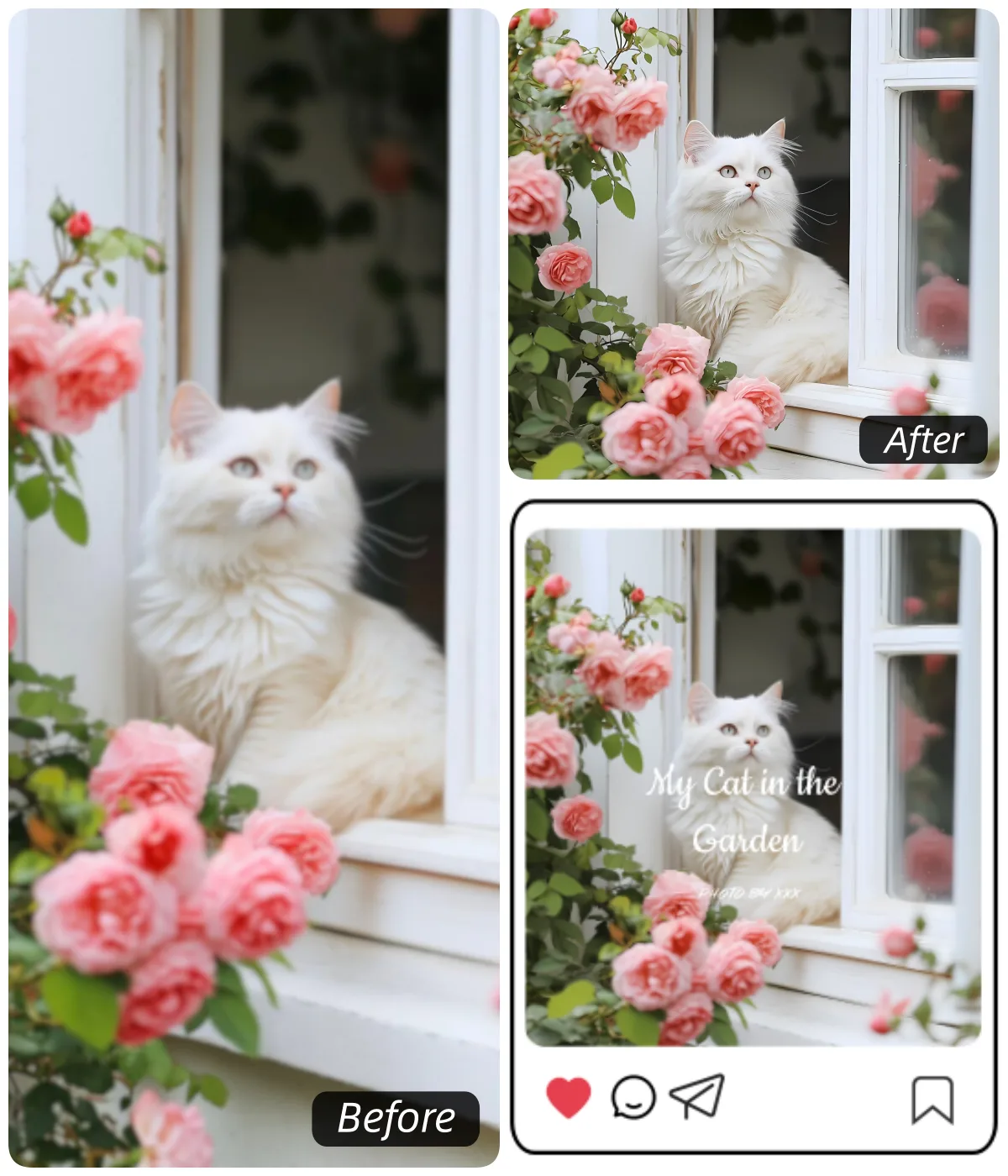 Free AI Image Upscaler | Increase Resolution 2x–4x